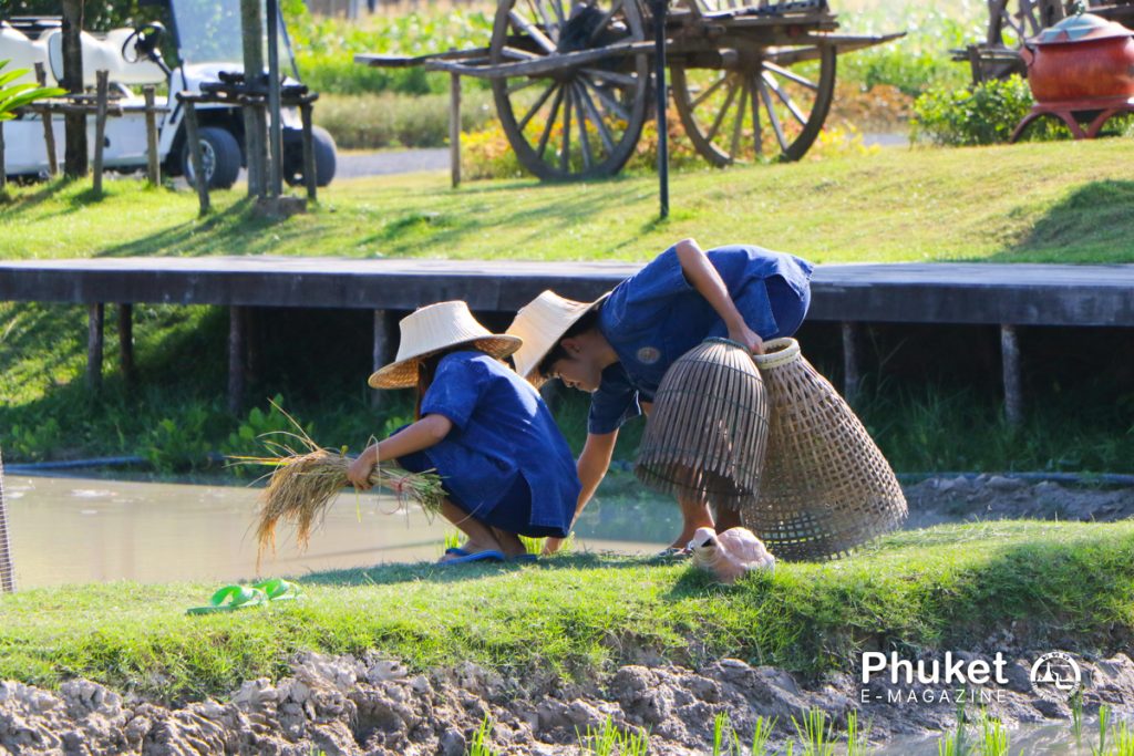Five Romantic Activities for Lovers in Phuket - Phuket E-Magazine
