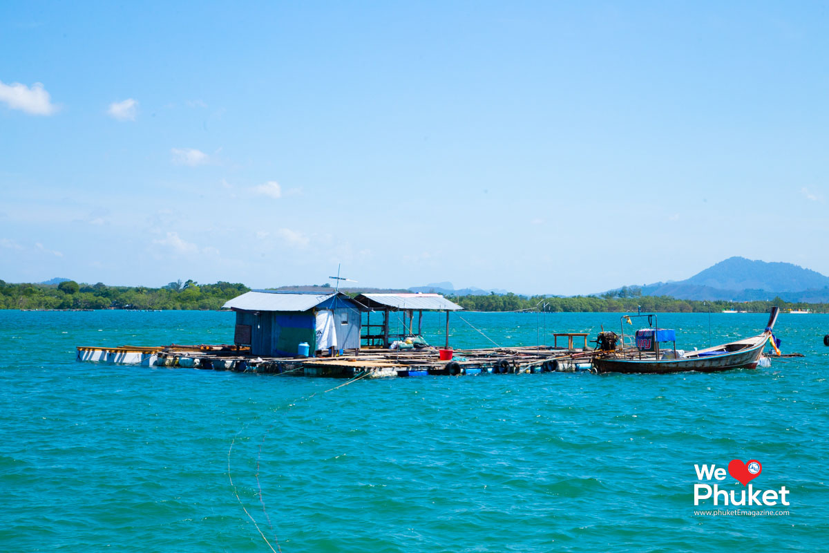 Visiting a Lobster Farm in Phuket - Phuket E-Magazine