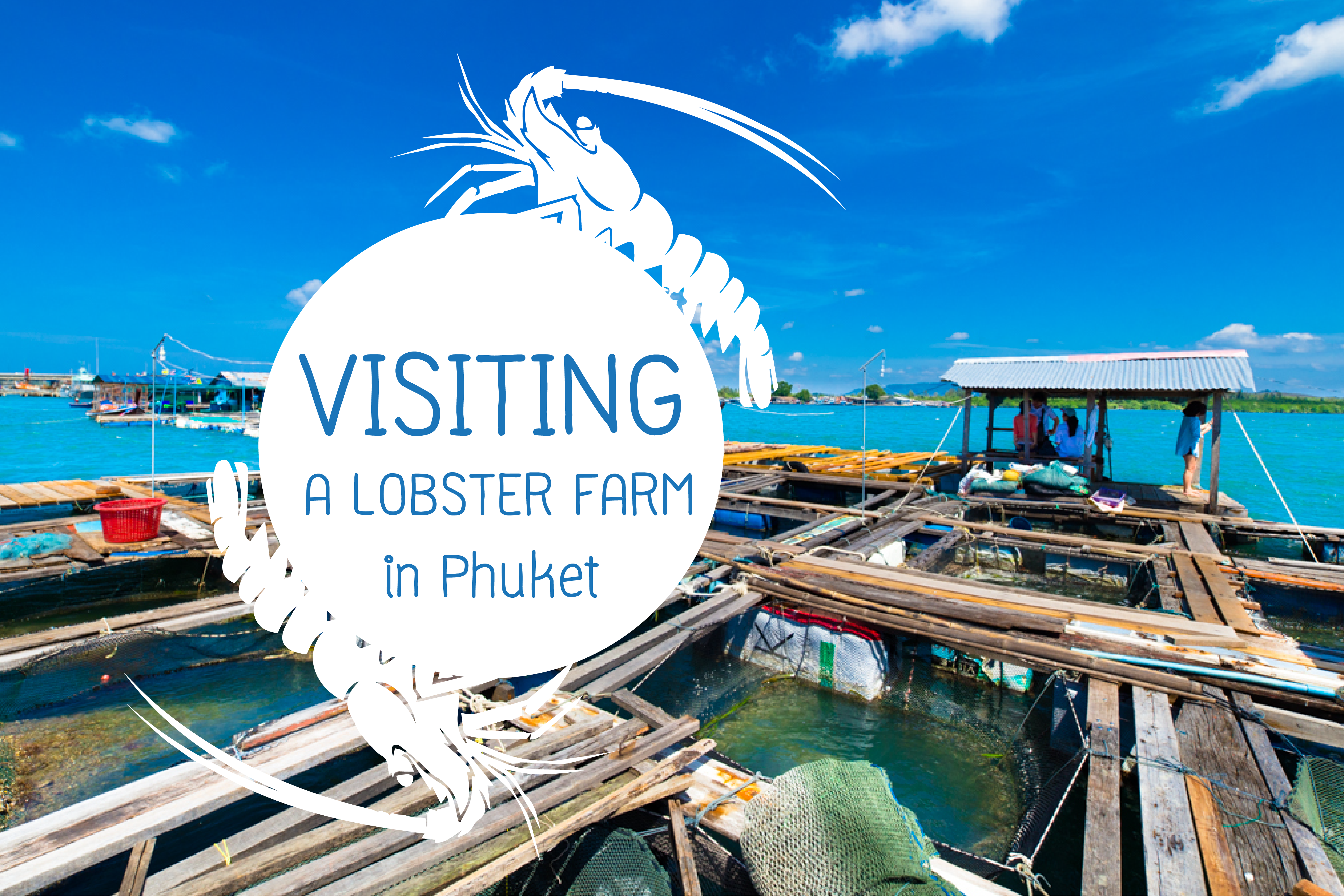Visiting a Lobster Farm in Phuket - Phuket E-Magazine