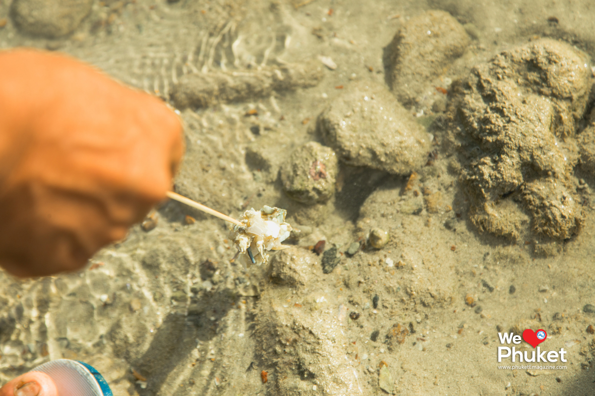 Introduction to Phuket: Koh Lone - Phuket E-Magazine