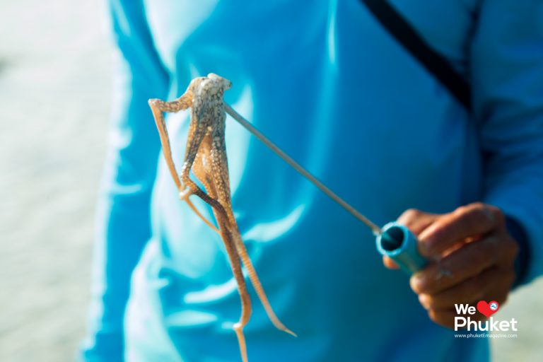 Introduction to Phuket: Koh Lone - Phuket E-Magazine