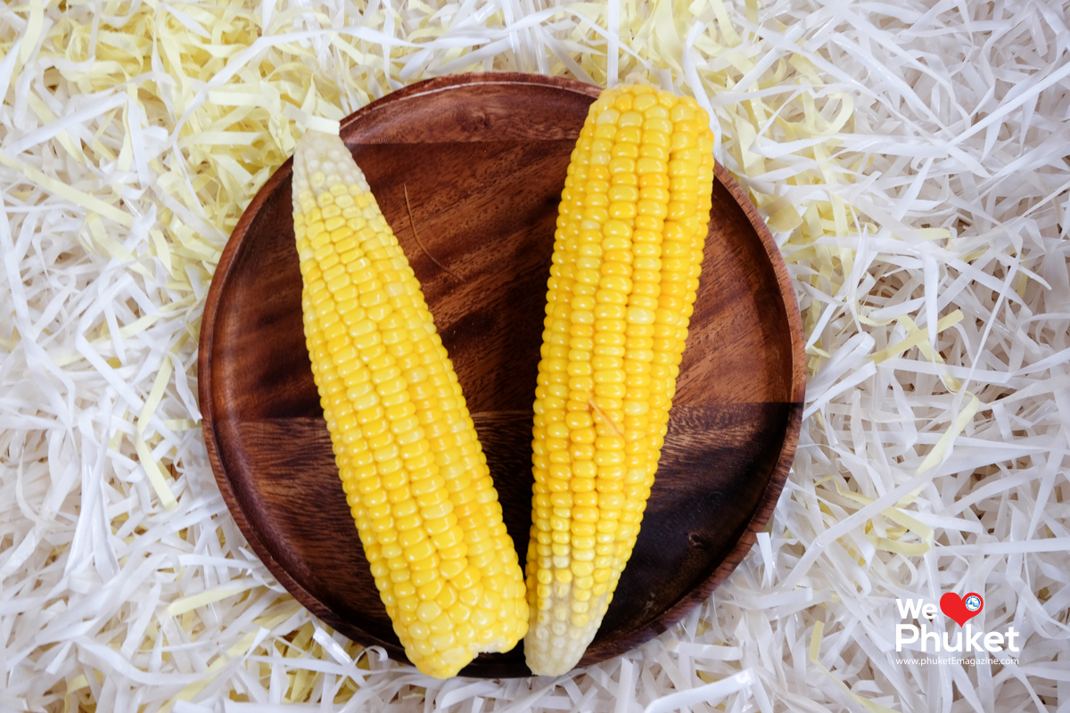 Vanich Farm… Enjoy a Fun Agricultural Lifestyle - Phuket E-Magazine