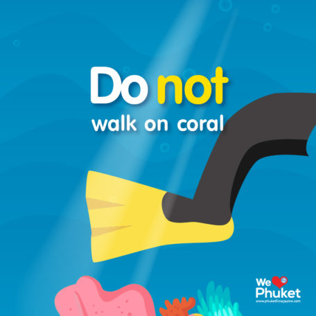 Things Not To Do During a Dive - Phuket E-Magazine