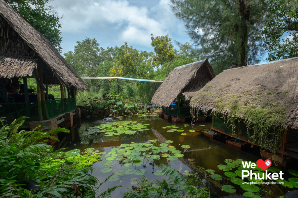 Mor Mu Dong: Michelin Guide selection - Phuket E-Magazine